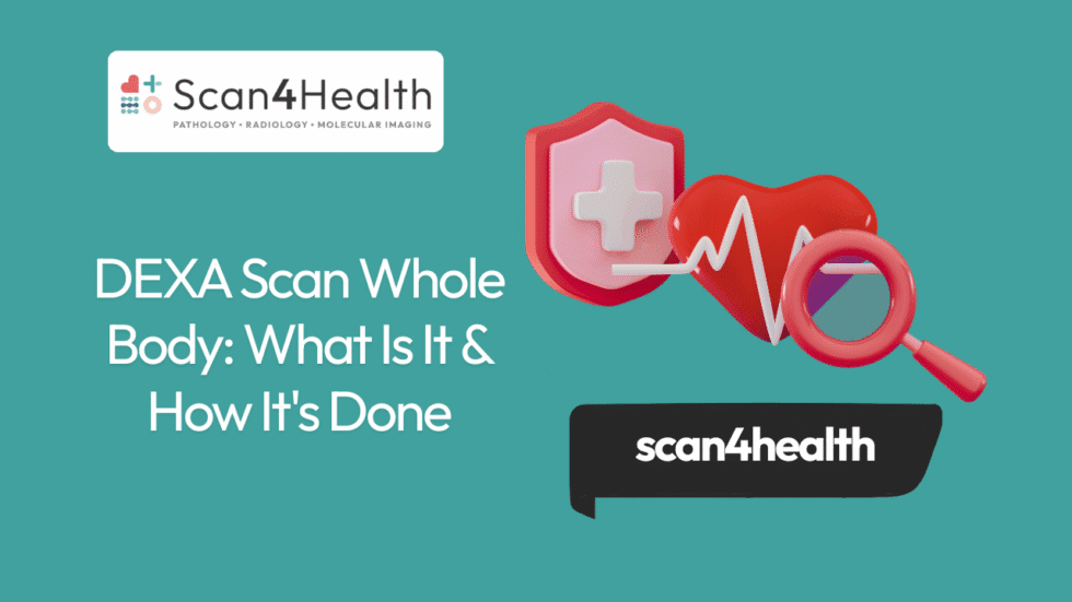 DEXA Scan Whole Body: What Is It & How It's Done - Scan4Health Diagnostics Gurgaon - NABH Approved
