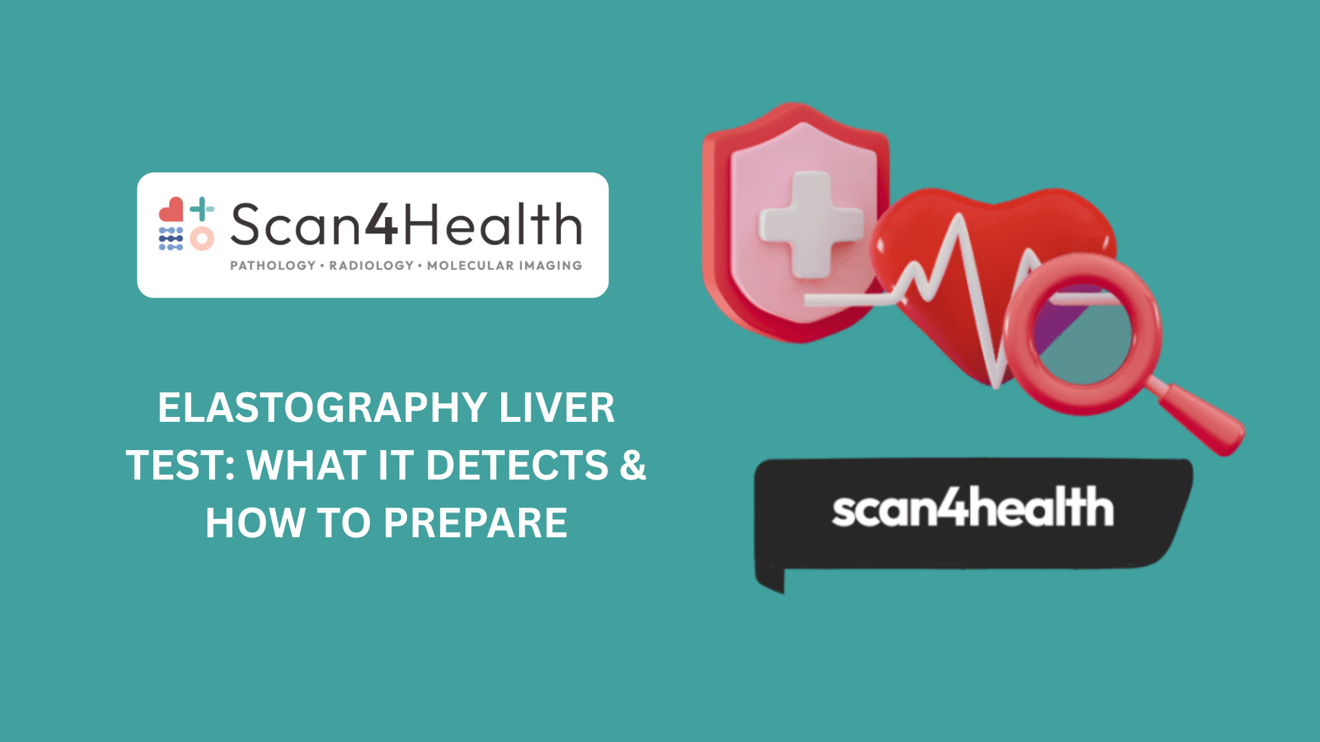 Elastography Liver Test: What It Detects & How to Prepare - Scan4Health ...